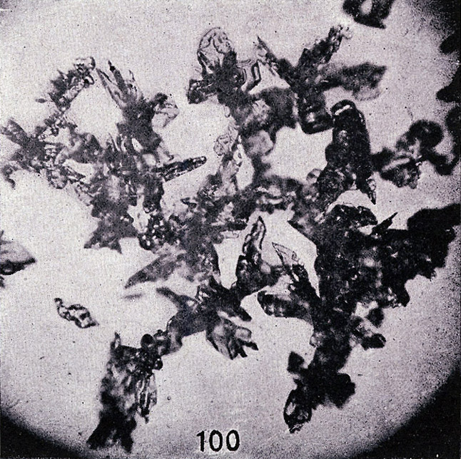 Image Gallery: Snowflakes | Smithsonian Institution Archives