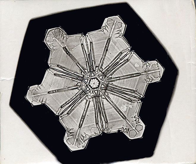 Image Gallery: Snowflakes | Smithsonian Institution Archives